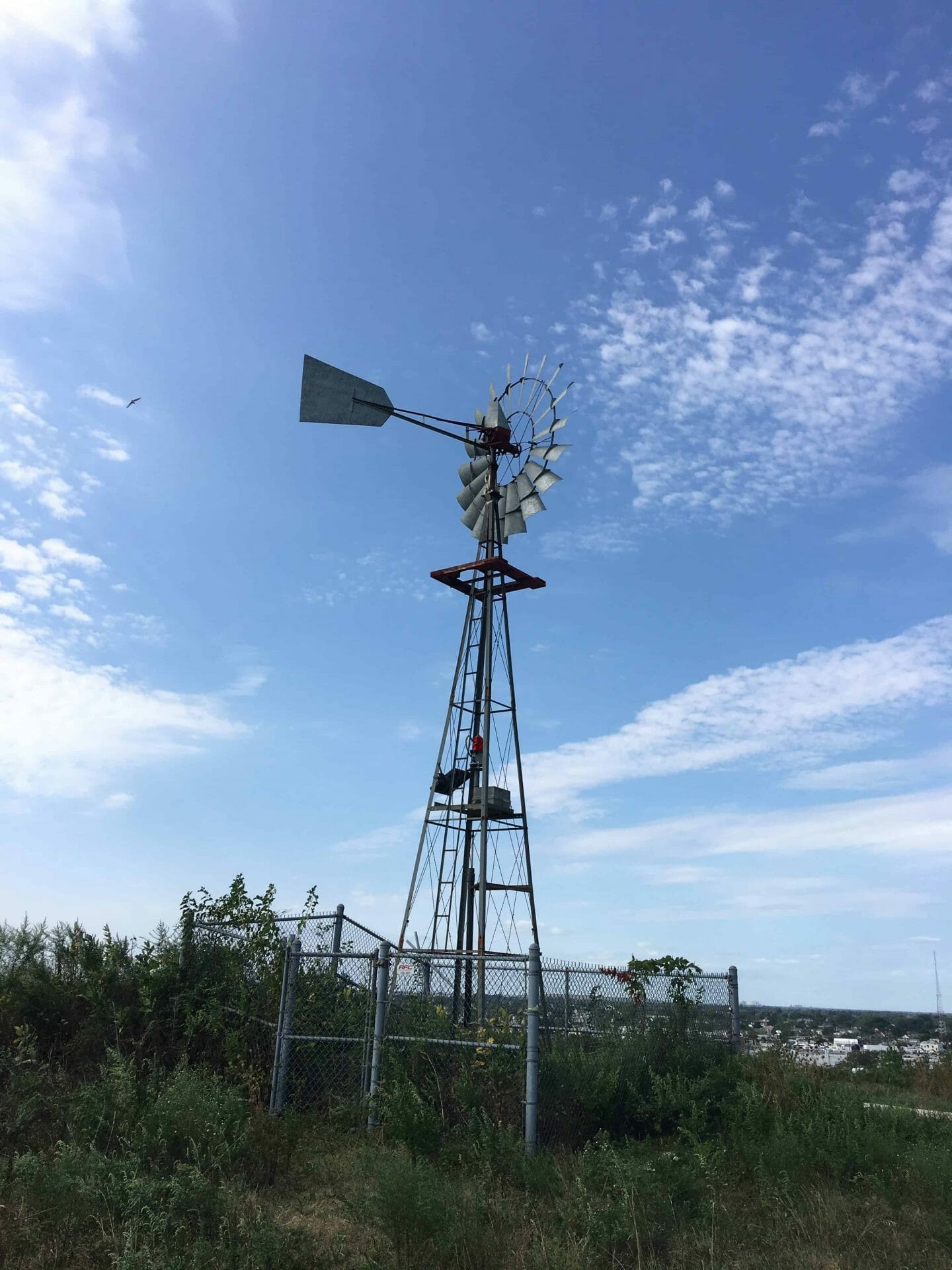 Running Up and Down the Norman J Levy Park Preserve in Merrick, NY